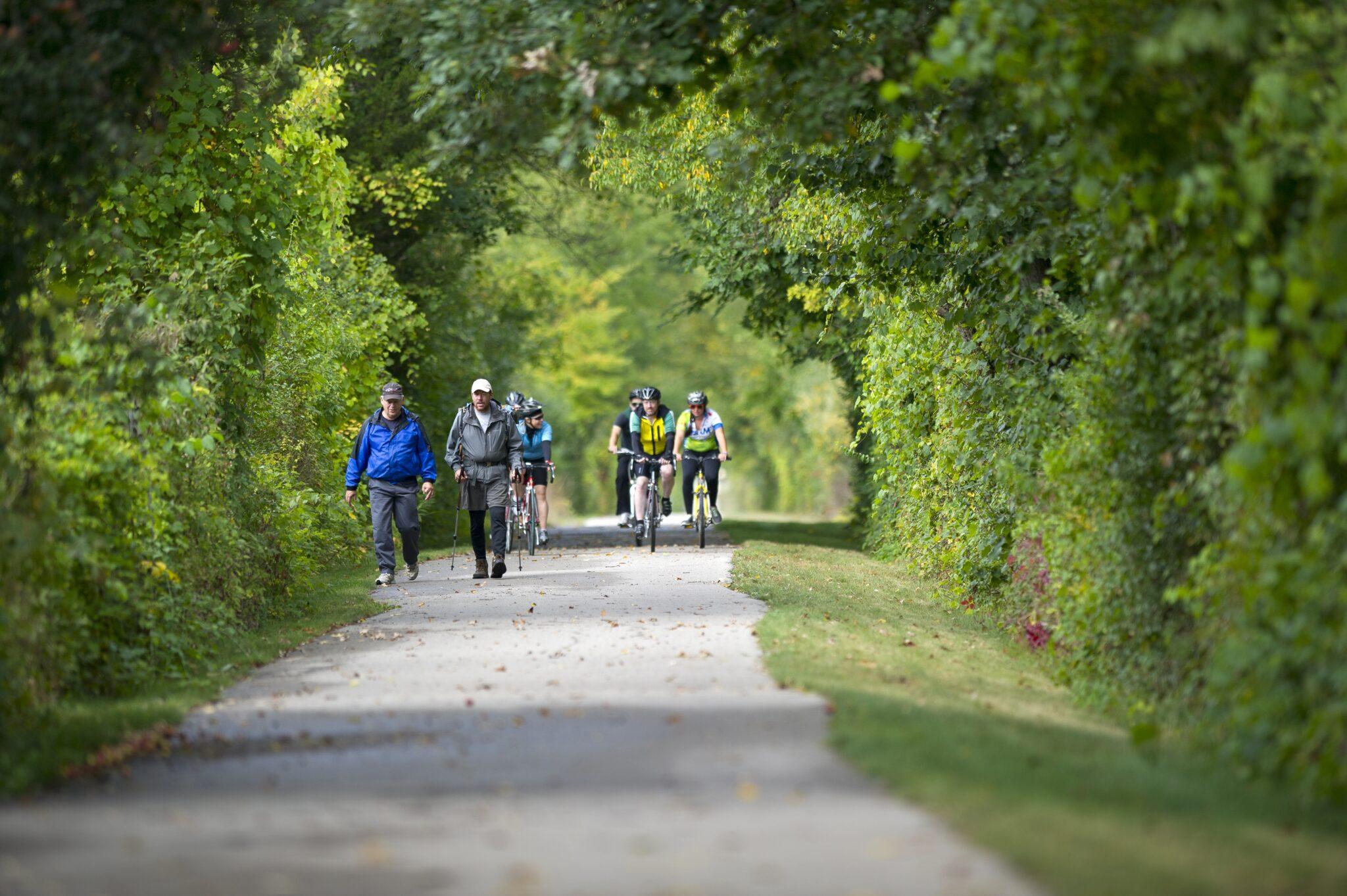 Michigan Trails & Greenways Alliance – Statewide voice for non ...